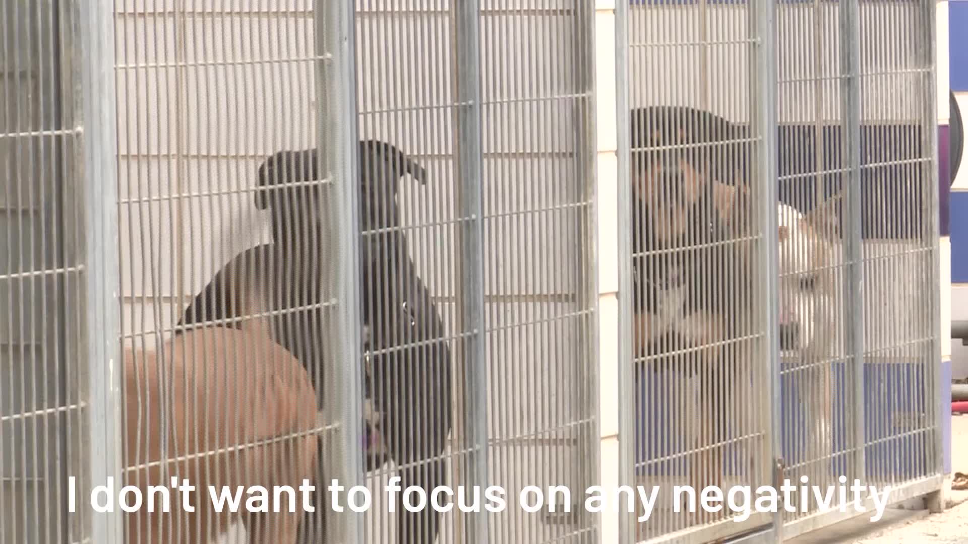 Don Bland, Chief Animal Services Officer at AAC, responds to council ...