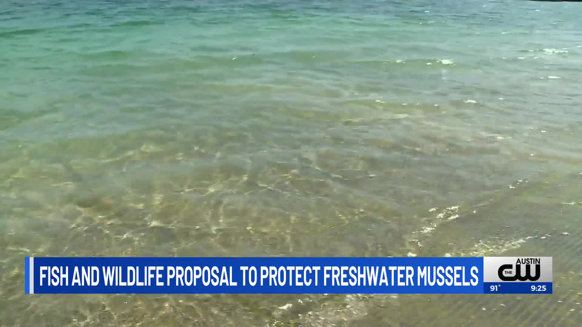 What’s being done to save the Texas pimpleback, fawnsfoot, fatmucket ...