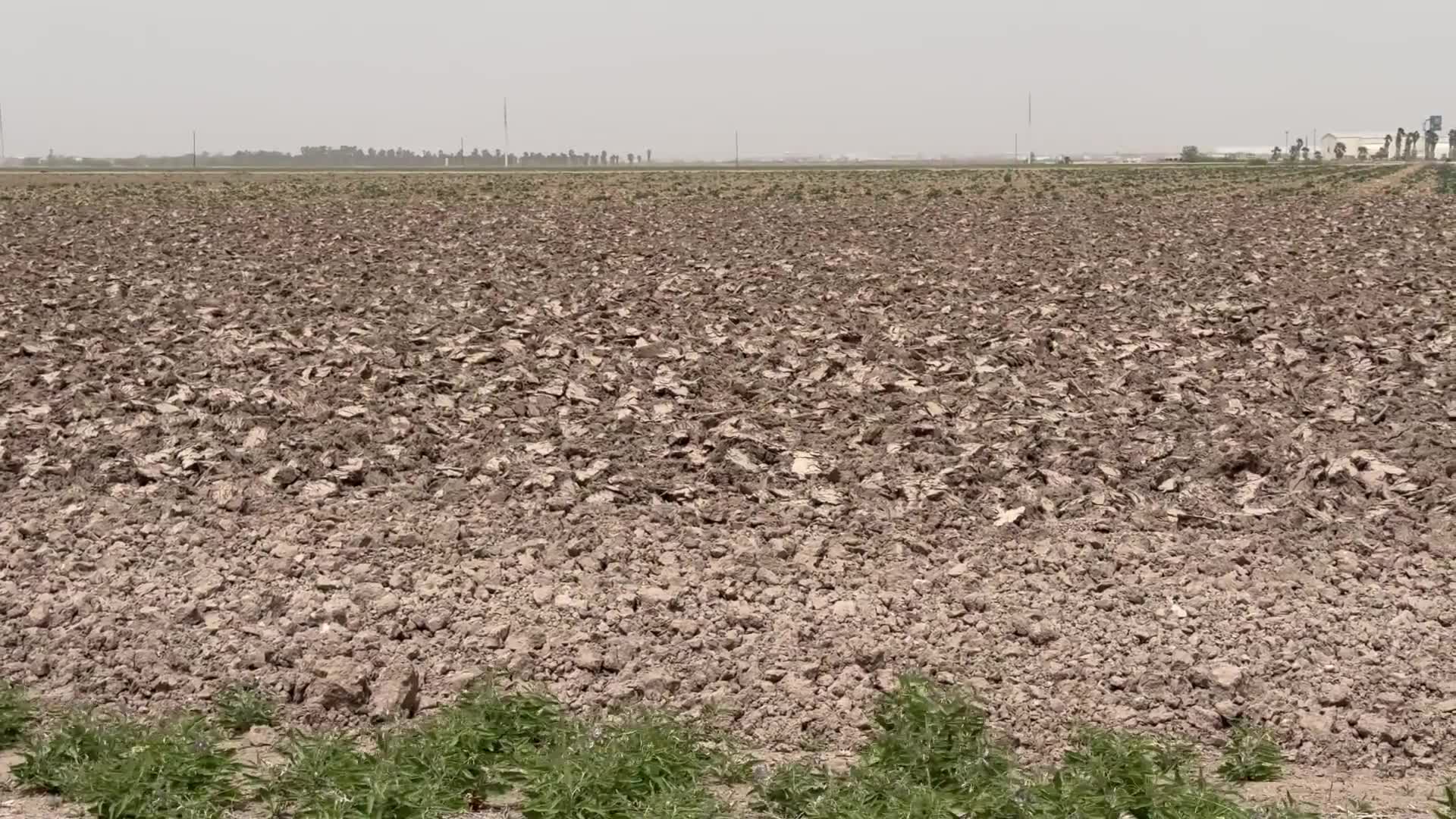 Relief funds for South Texas farmers and ranchers affected by Mexico’s ...