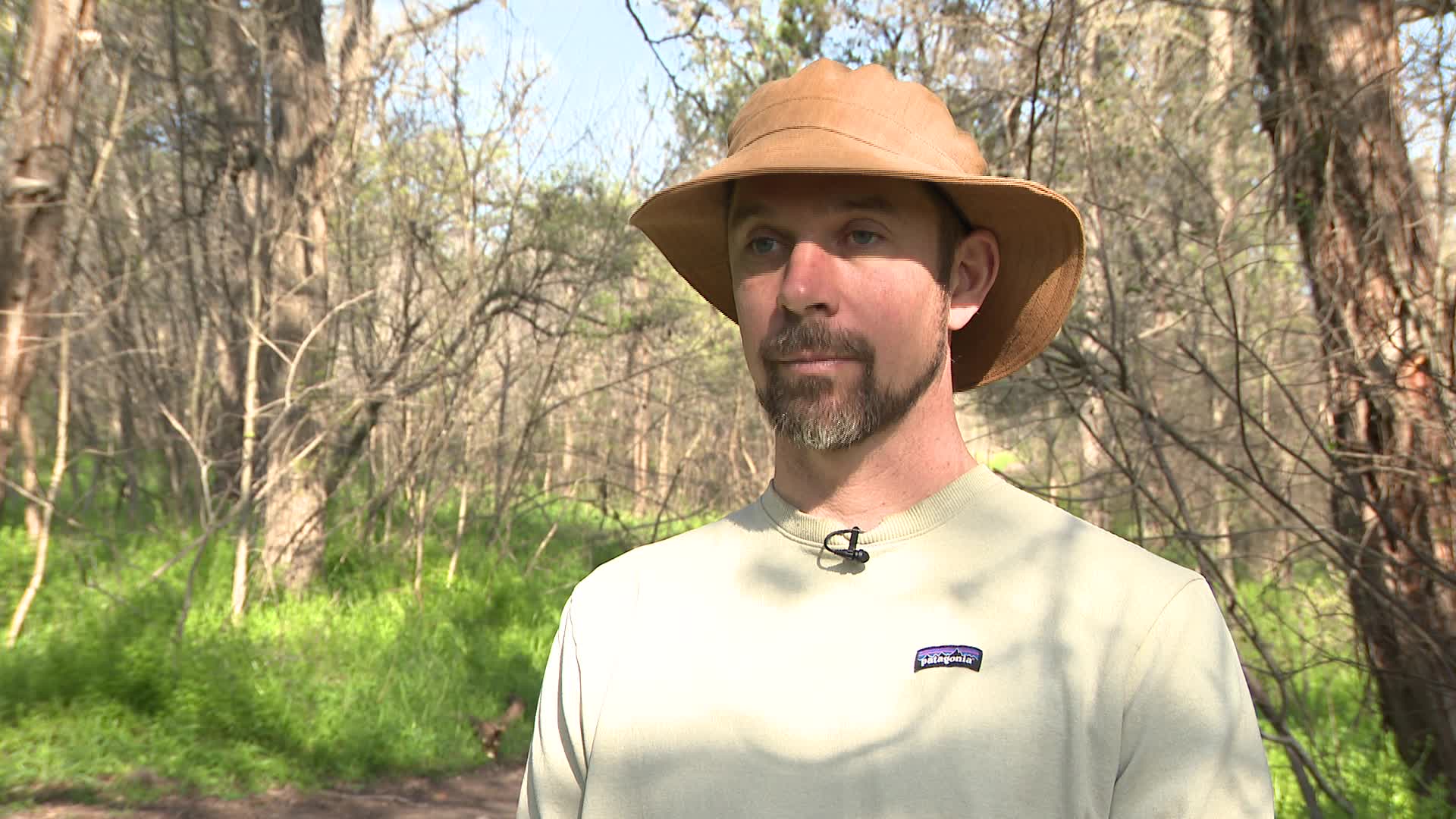 FULL INTERVIEW: Artist talks about Pease Park troll inspiration – KXAN ...