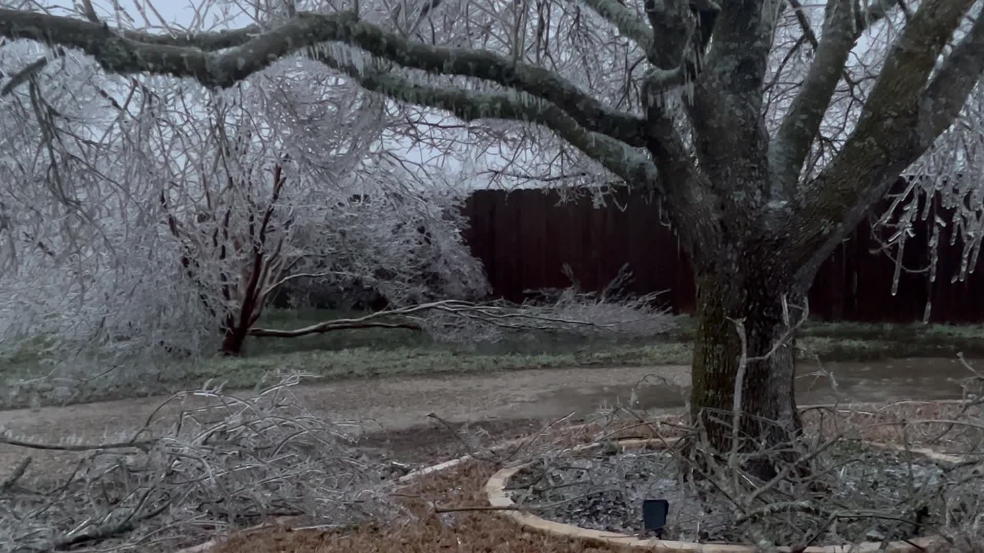 Tree branches snapping in Manor during ice storm – KXAN Austin