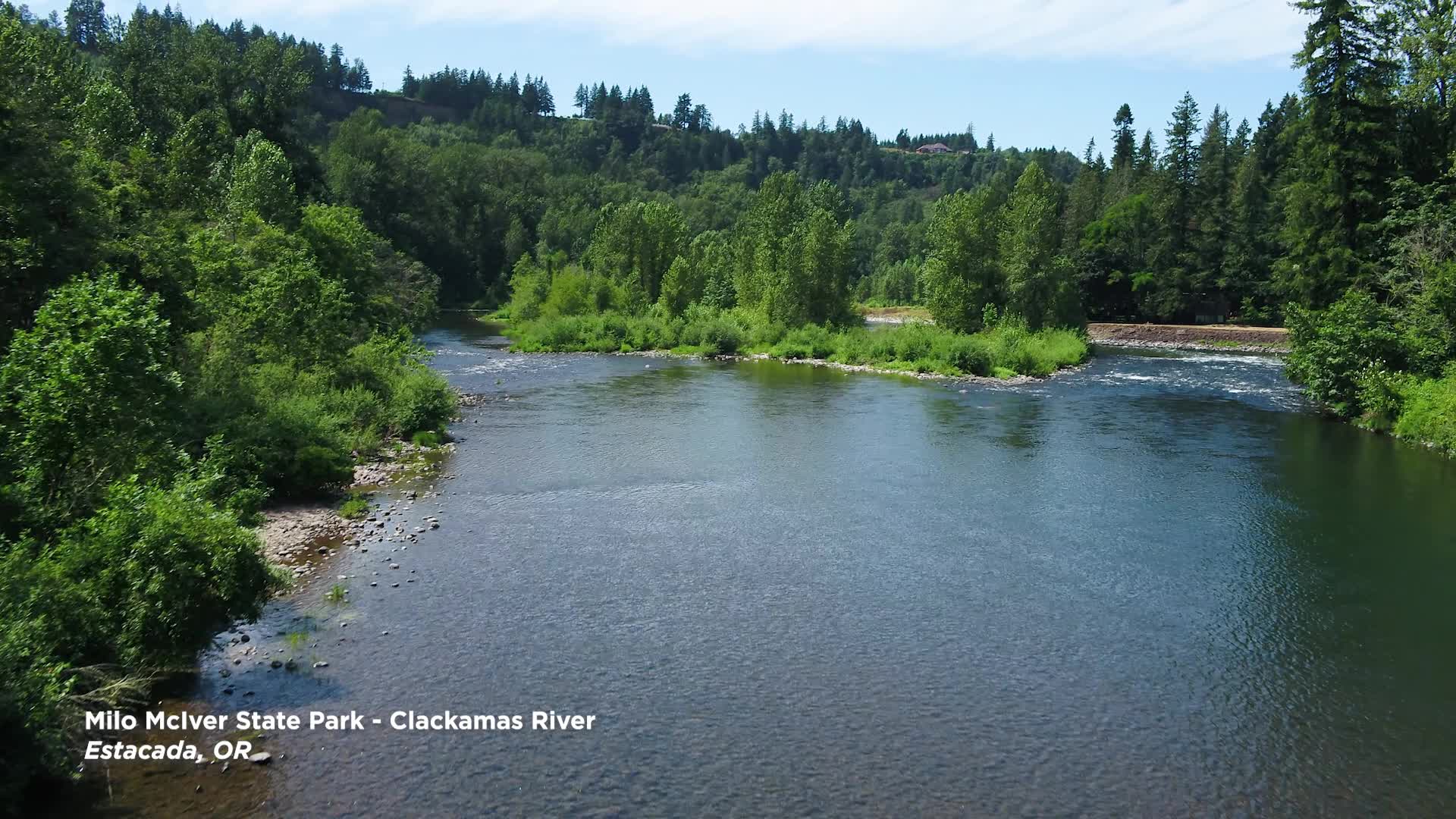 Milo McIver State Park Drone: Evergreen – KOIN.com