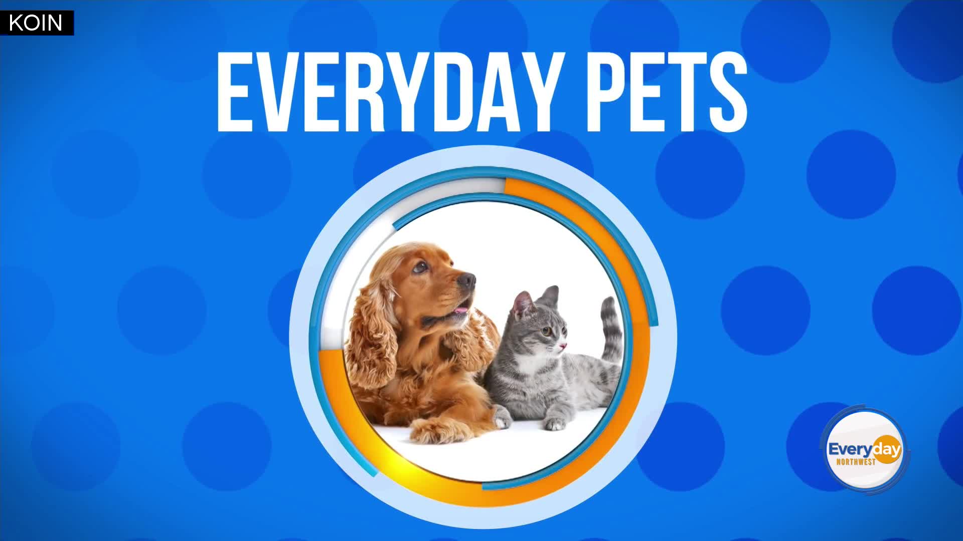 Pacific Northwest Pet and specialty center – KOIN.com