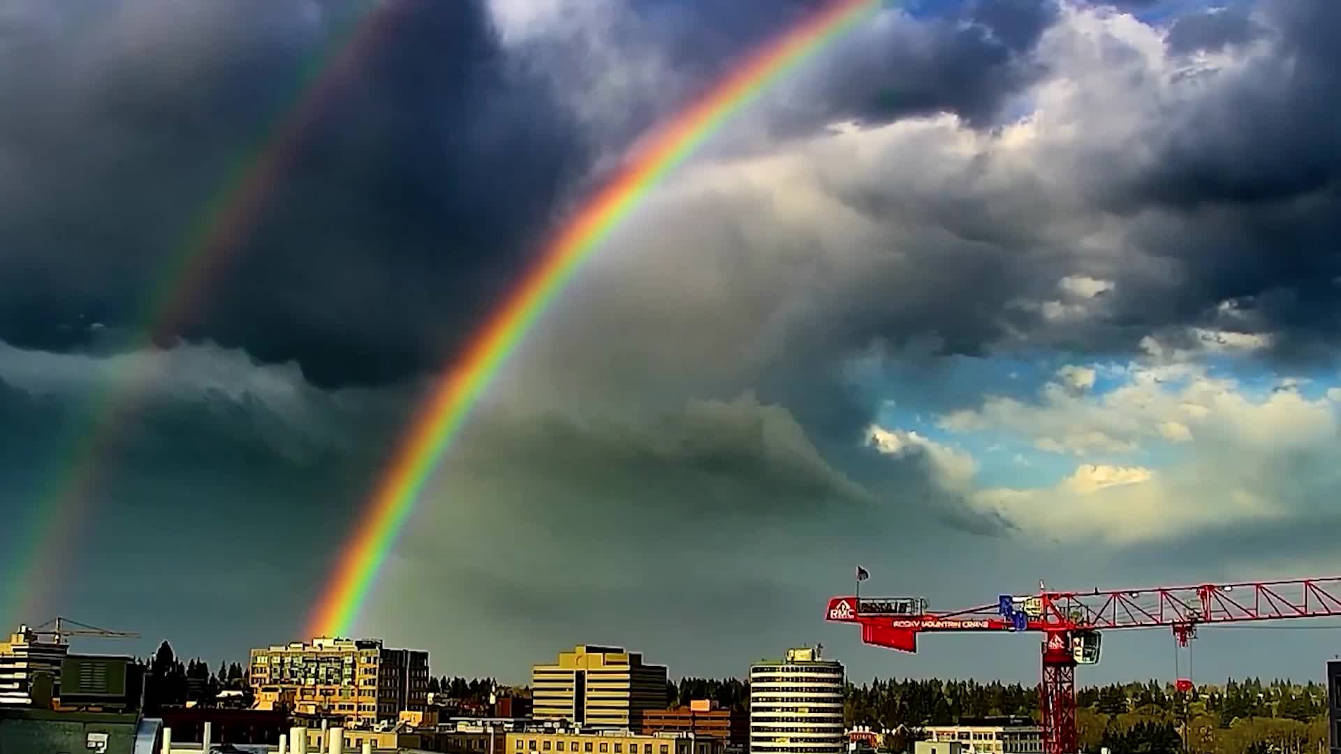 Rainbow Views 2025: Evergreen – KOIN.com