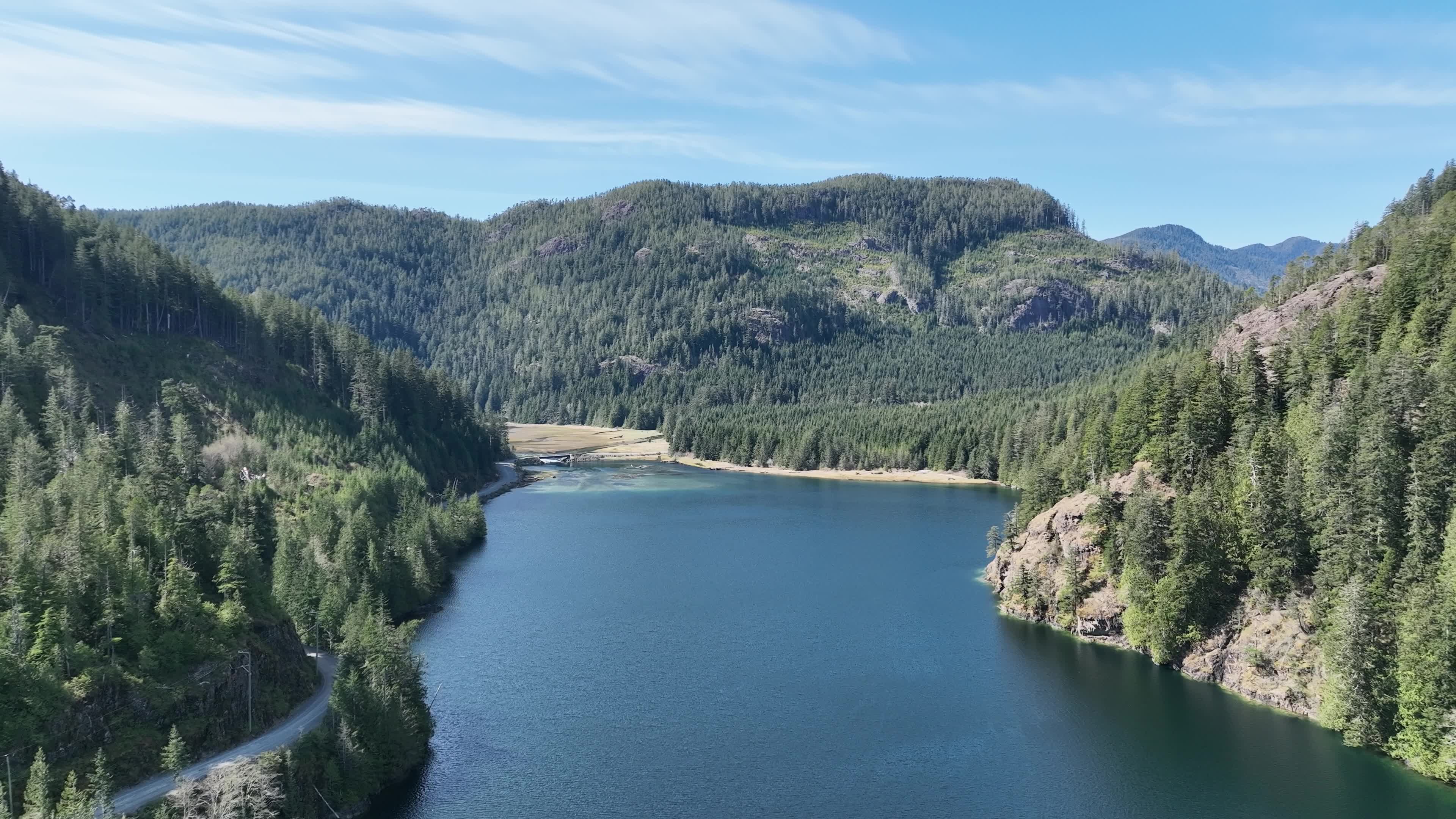 Killer whale calf remains trapped in a lagoon near Zeballos, British ...