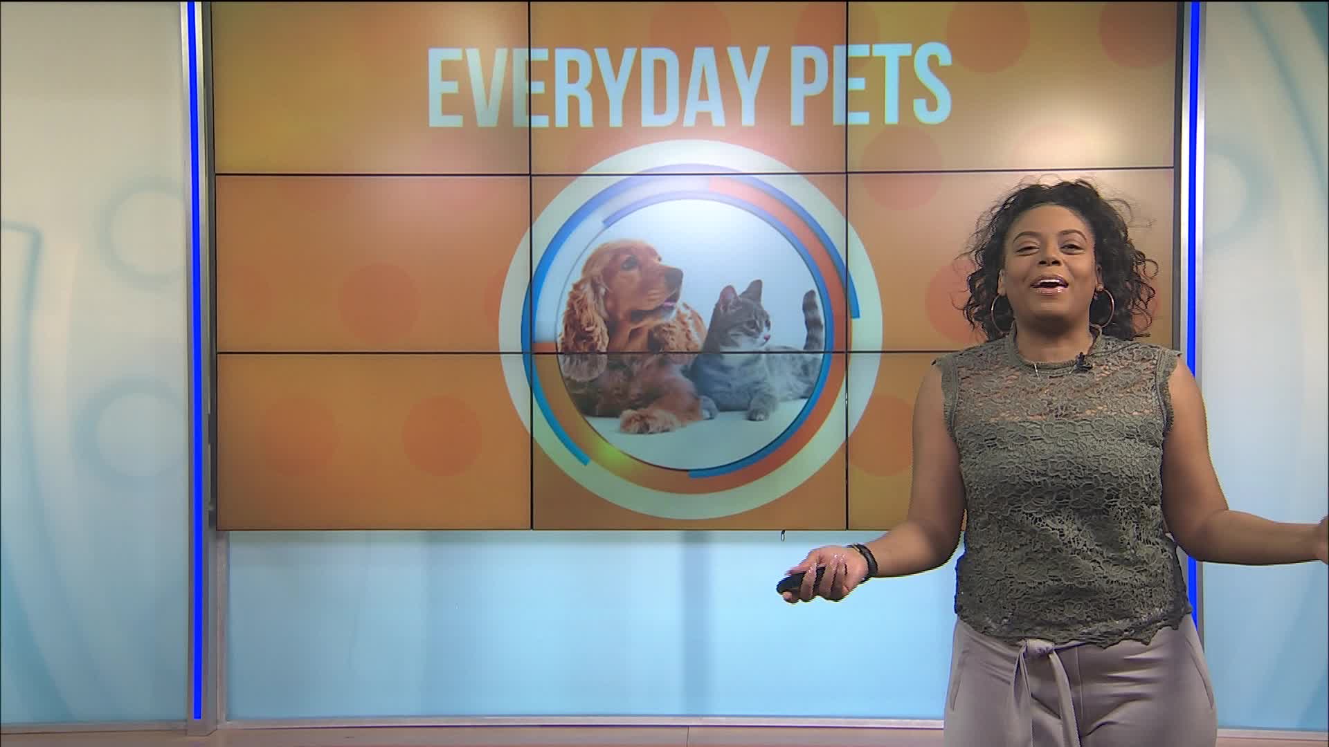 Vet Set Go camp helps aspiring veterinarians – KOIN.com