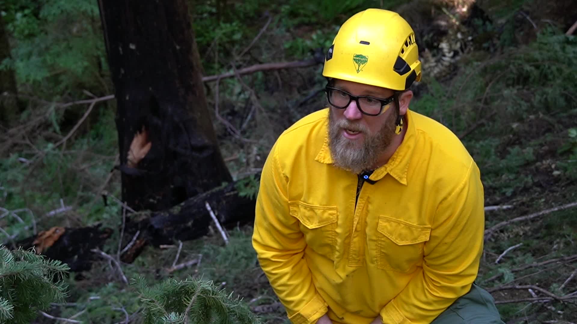 Master Arborist Logan Collier on Doerner Fir Fire Aug. 22, 2025 – KOIN.com