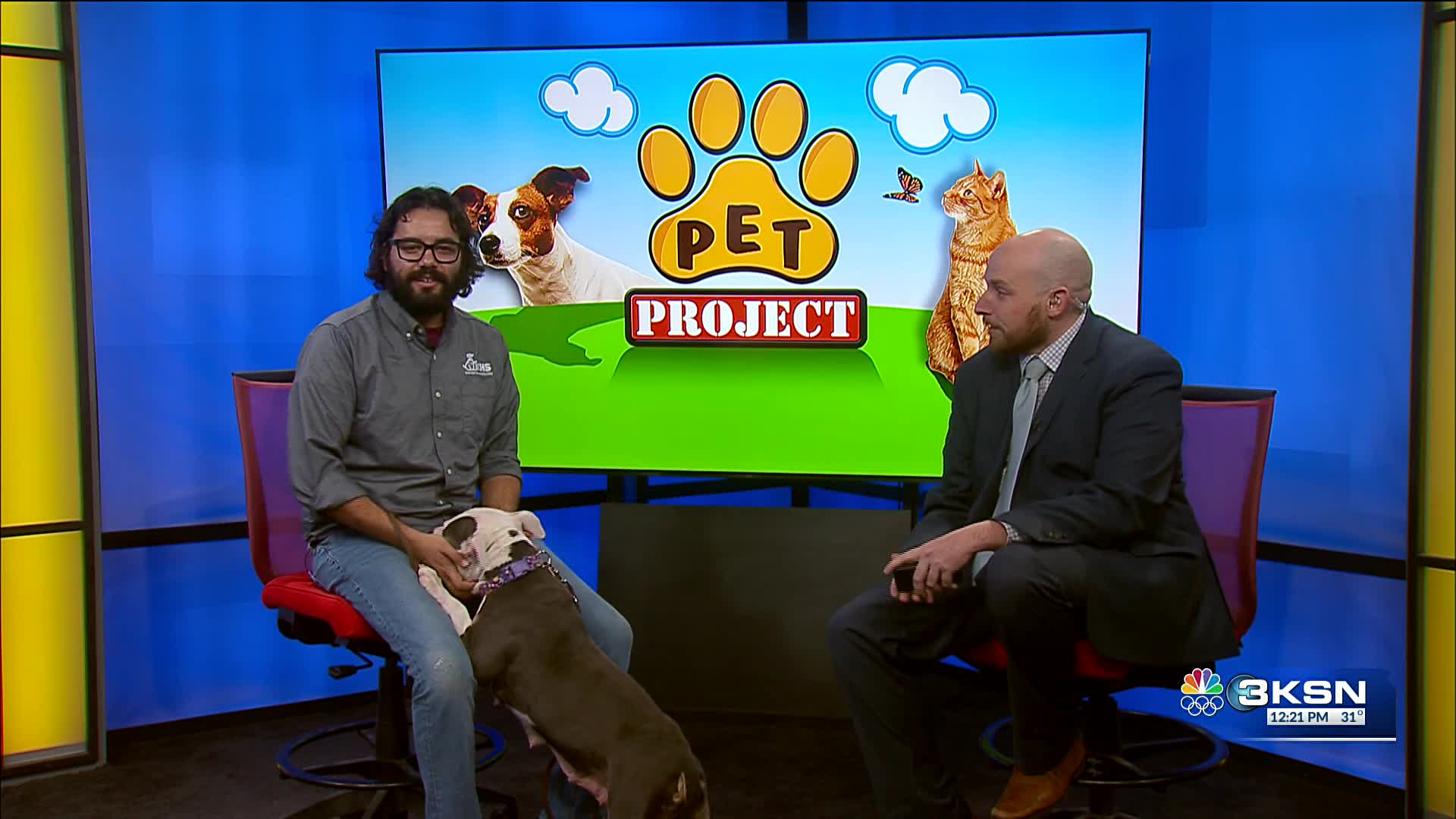 Pet Project: Charm is ready for her forever home – KSN-TV