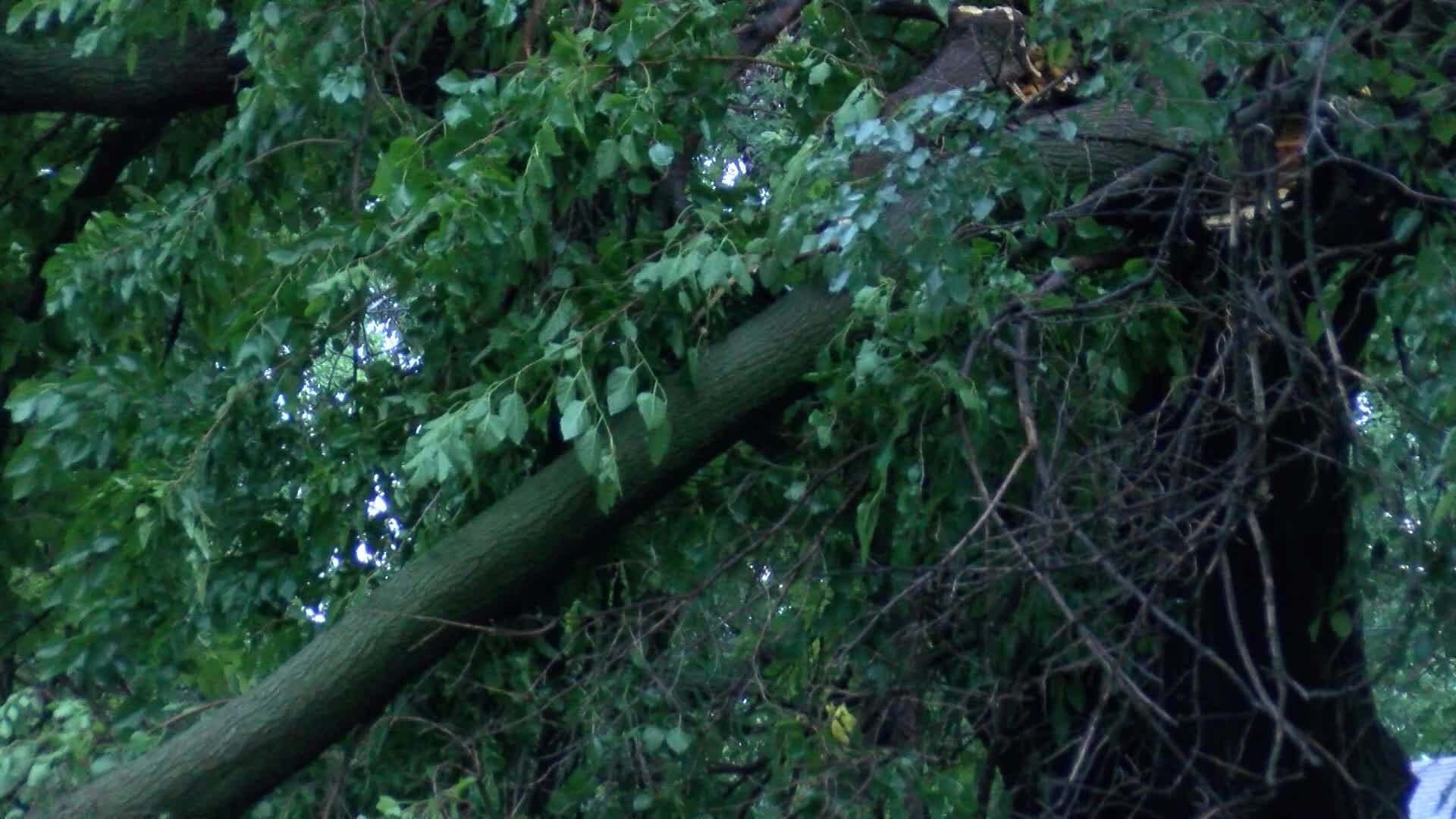 Video of severe storm damage around Wichita on June 17, 2025 – KSN-TV