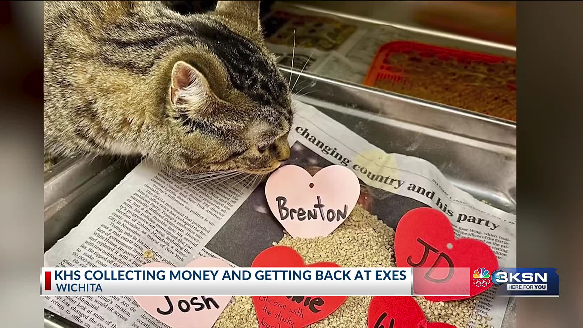 How you can have a cat poop on your ex’s name – KSN-TV