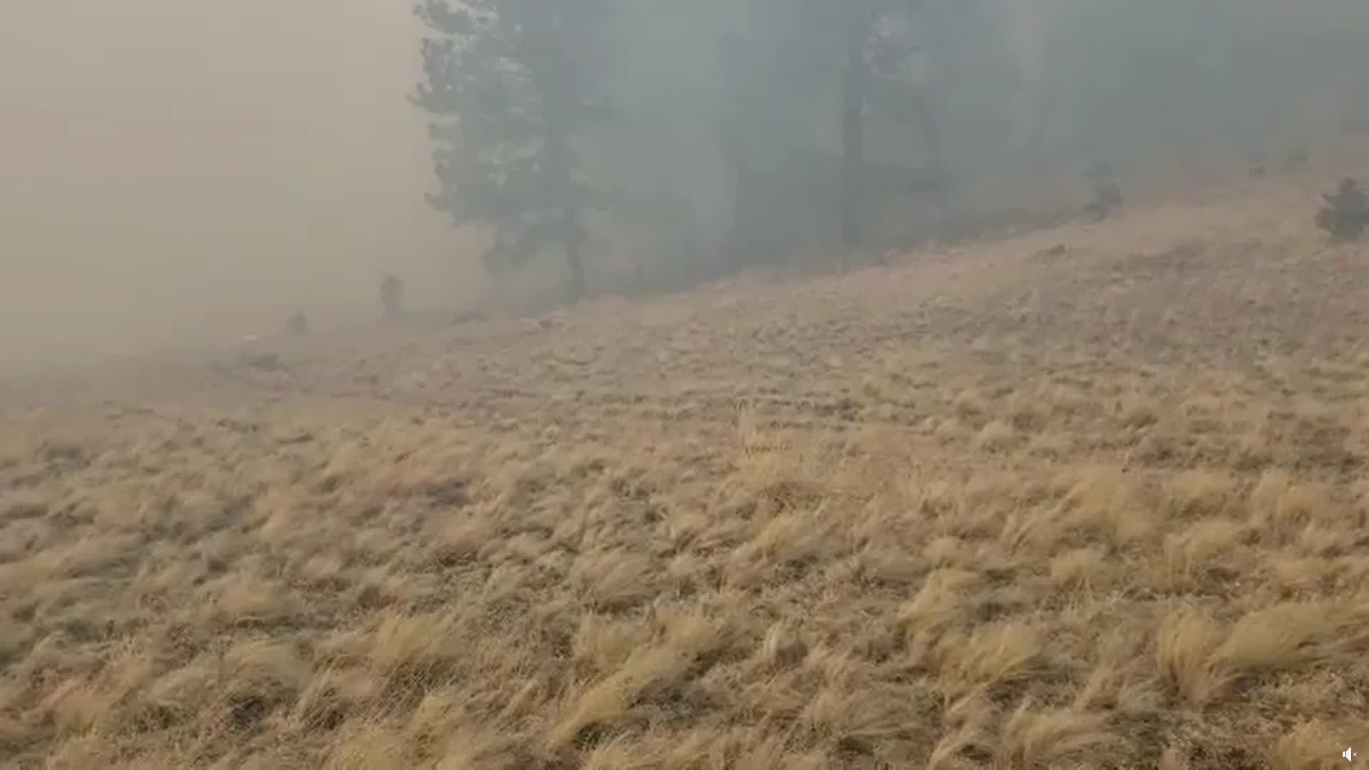 Smoke in Teller County from 403 fire – FOX21 News Colorado