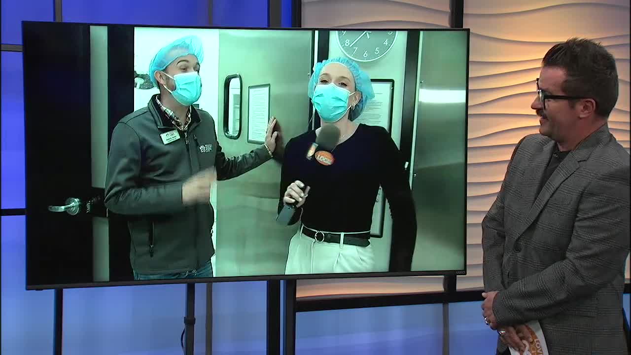 North Springs Veterinary Referral Center (2) – Loving Living Local ...