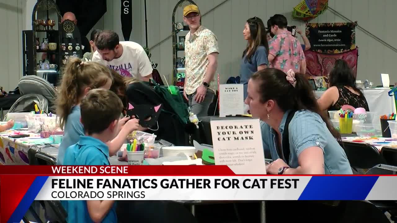 Feline fanatics gather at annual Cat Fest – FOX21 News Colorado