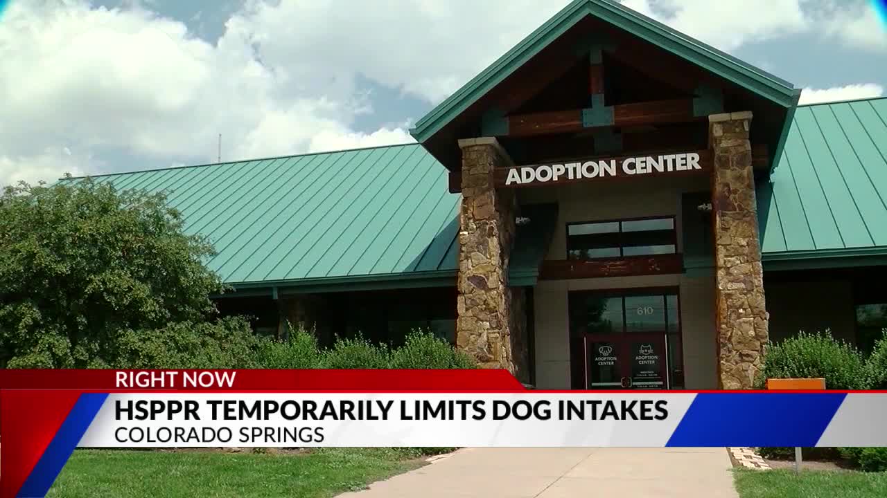 HSPPR limits dog intakes amid rising contagious Strep zoo cases – FOX21 ...