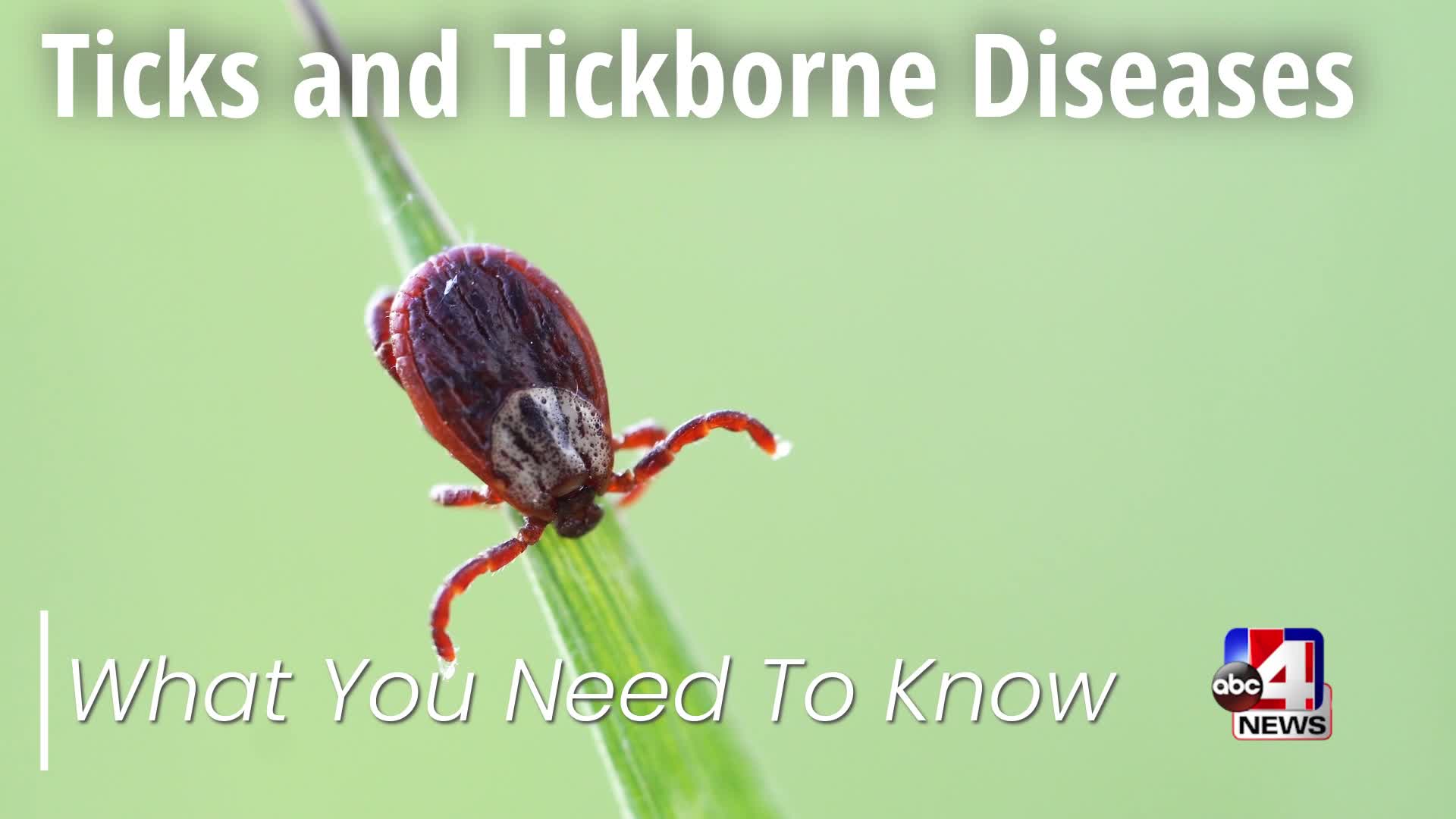 Ticks and Tickborne Diseases – What You Need To Know – ABC4 Utah