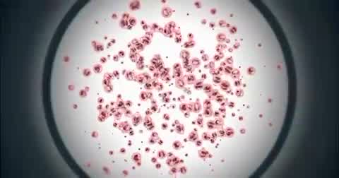 Utah Stem Cells Regenerative Medicine – ABC4 Utah