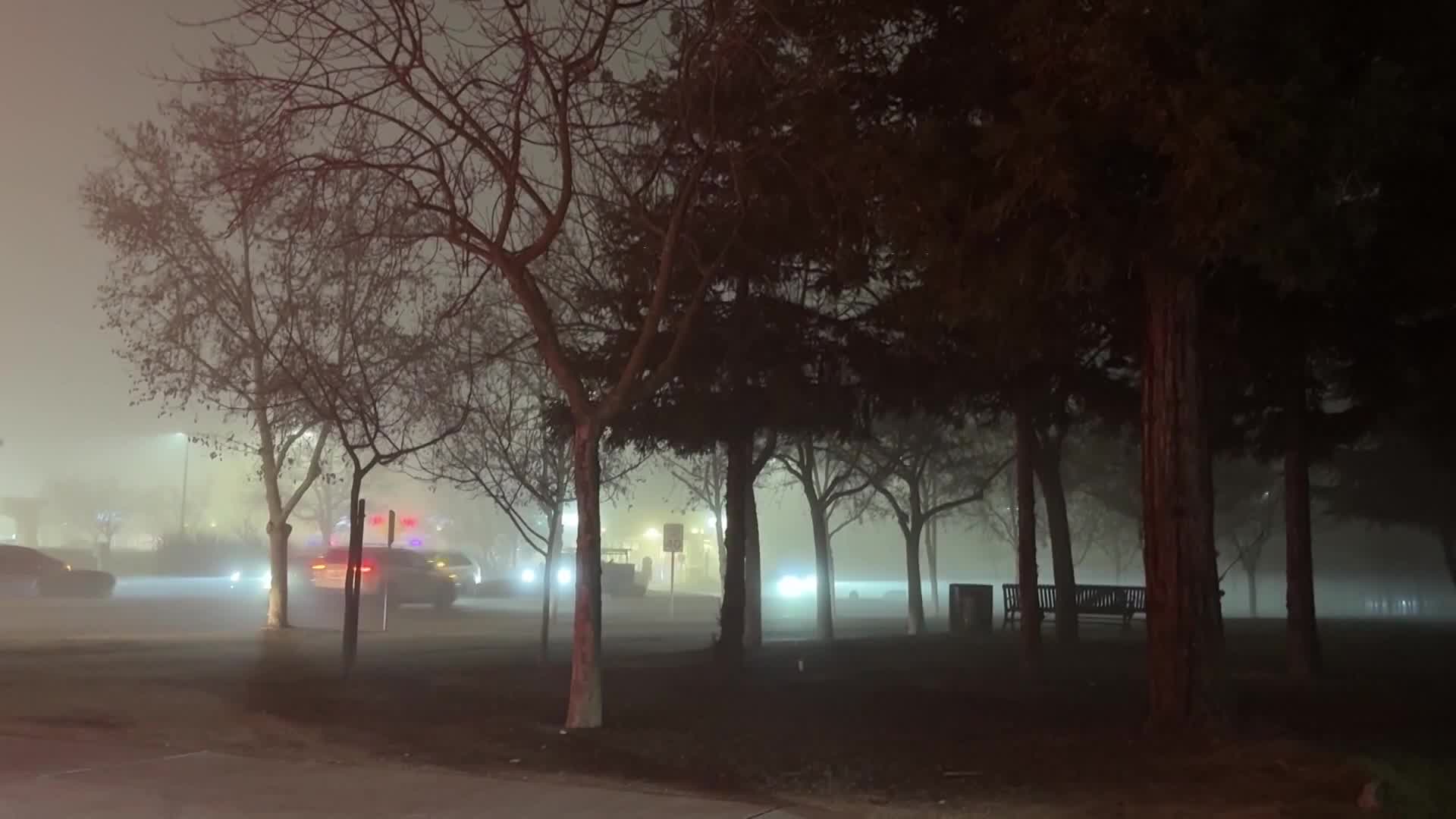 ‘Took an L’: Fresno reacts to dense fog impacting travel – CBS47 and ...