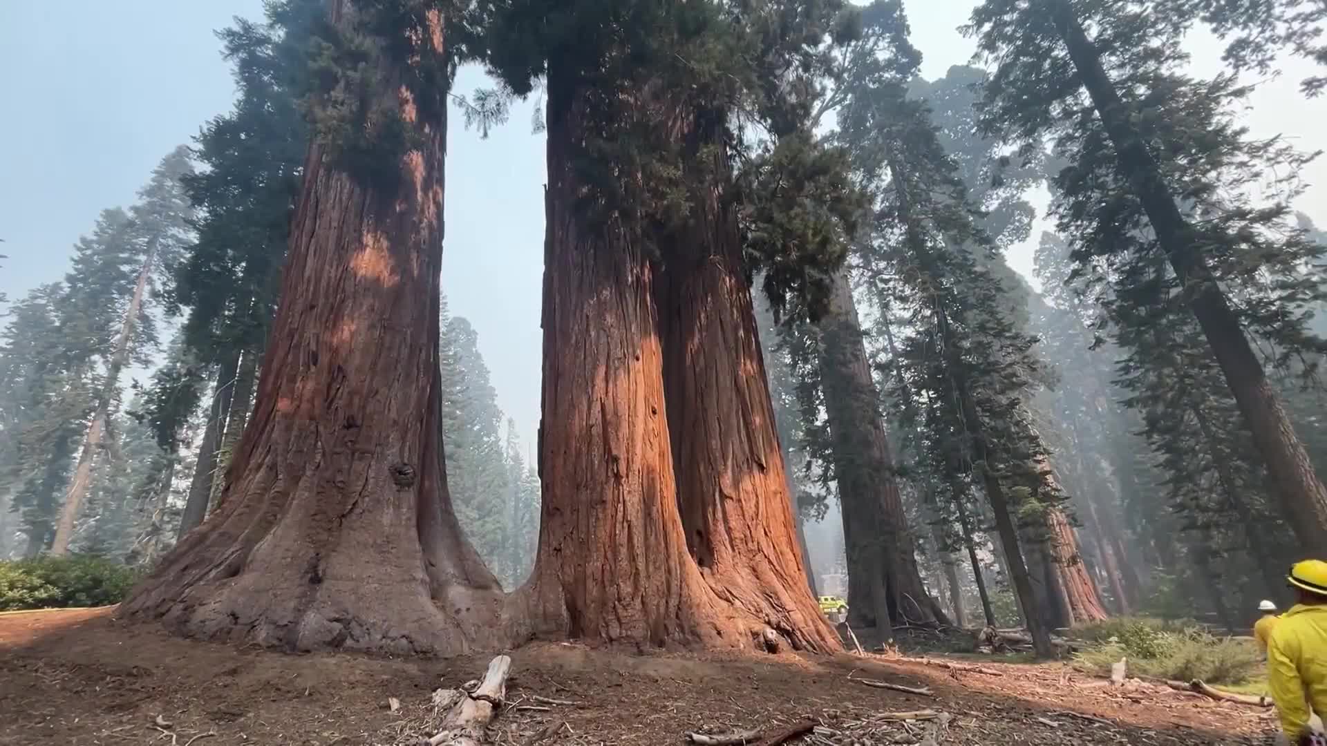 Garnet Fire containment rising as crews report ‘minimal’ activity ...