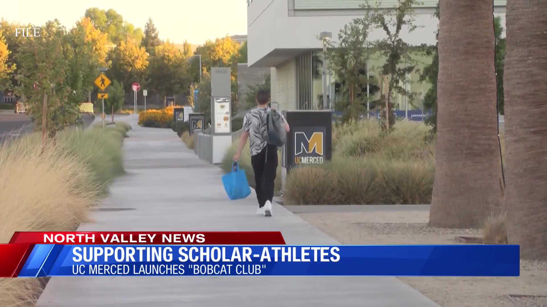 UC Merced joins NCAA Division II, launches Bobcat Club – CBS47 and ...