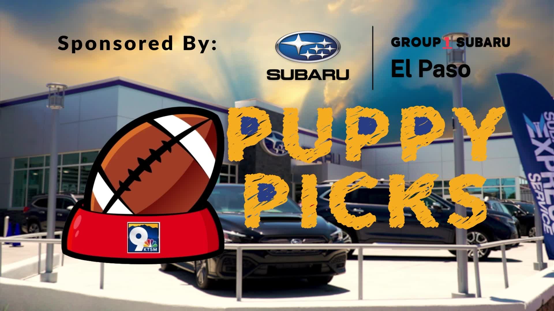 Puppy Picks Jan 2026 Bears Vs Rams – KTSM 9 News