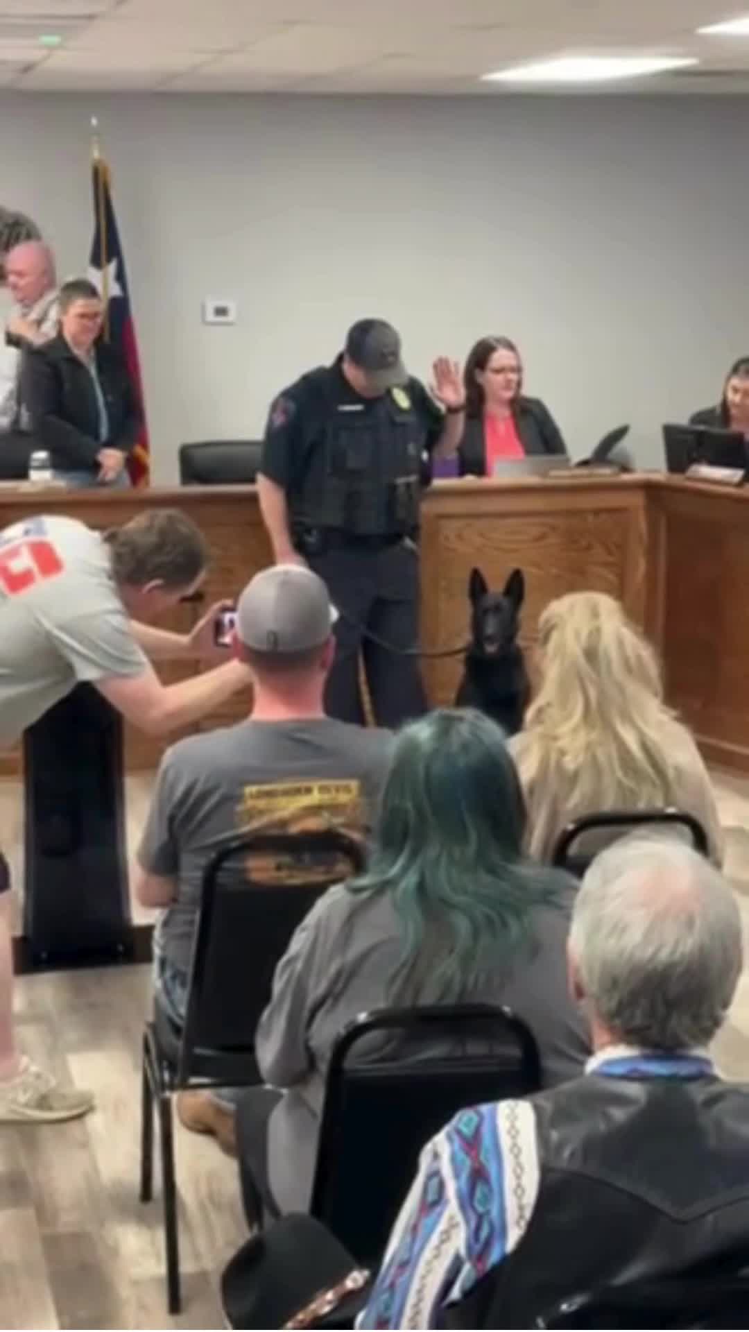 Meet Myla: The new police dog keeping Colorado City safe – KTAB ...
