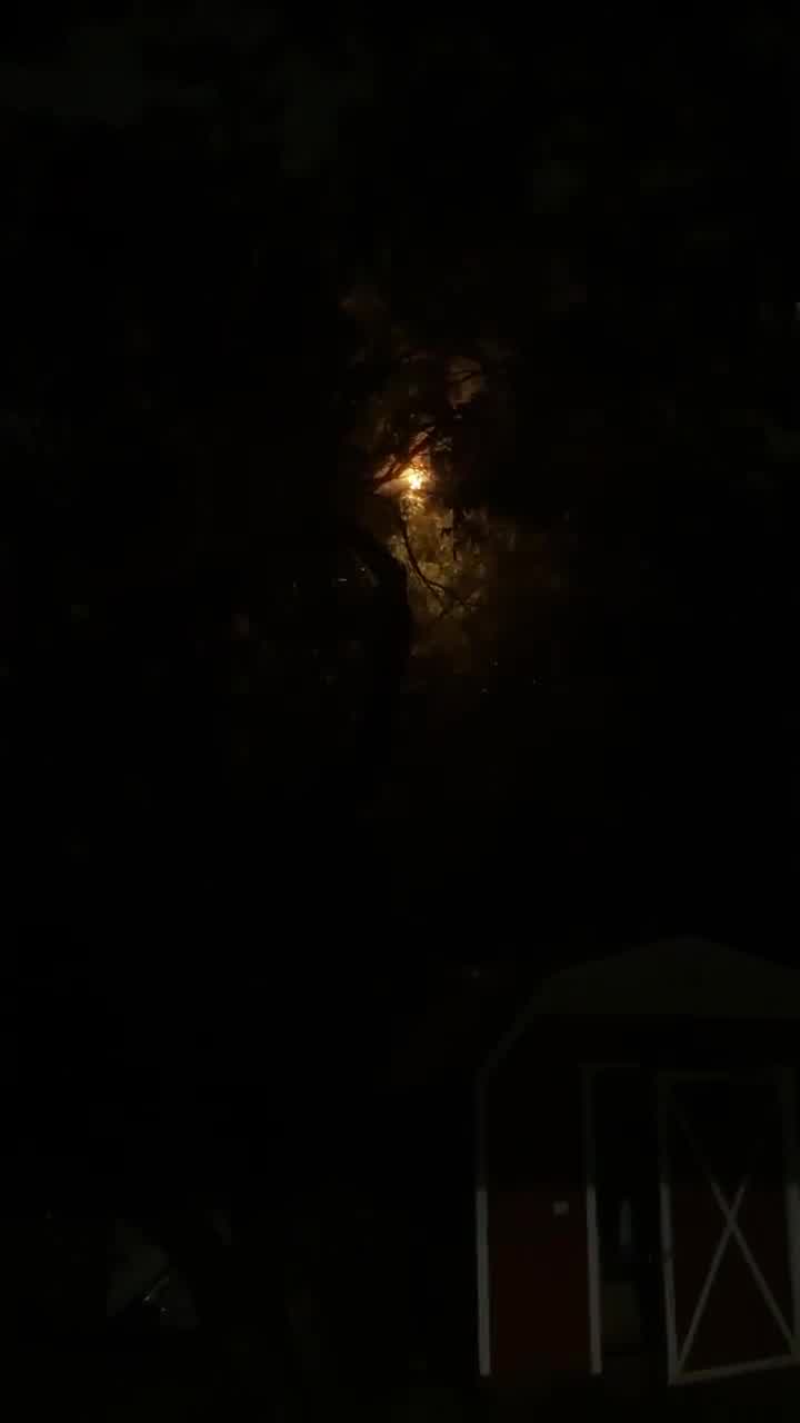 Tree catches fire during severe storm in Abilene – KTAB ...