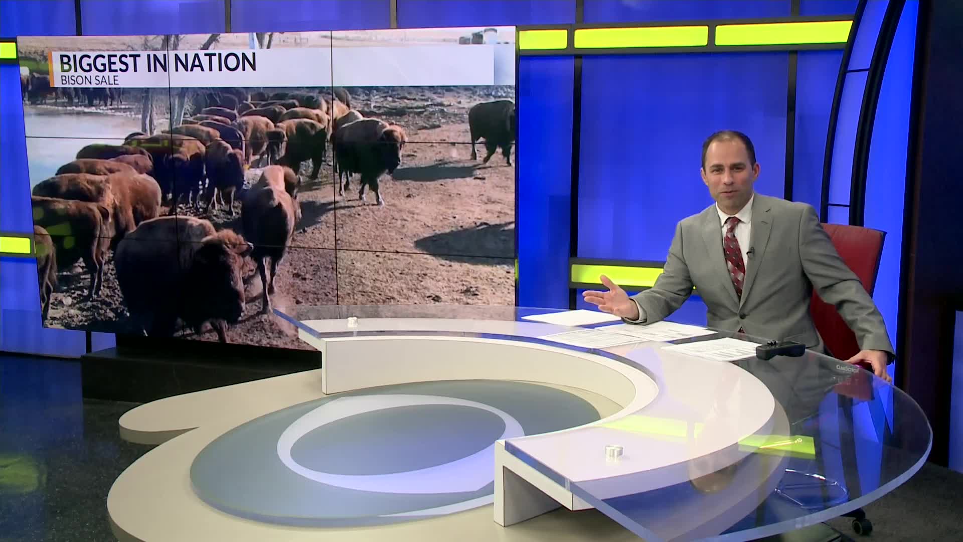 Local casino hosts biggest bison sale in nation – KX NEWS