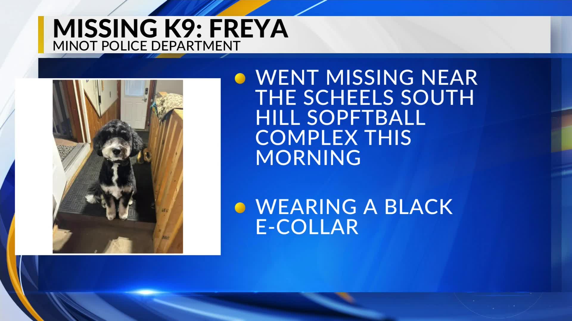 Minot Police Department’s new K9 reported missing – KX NEWS