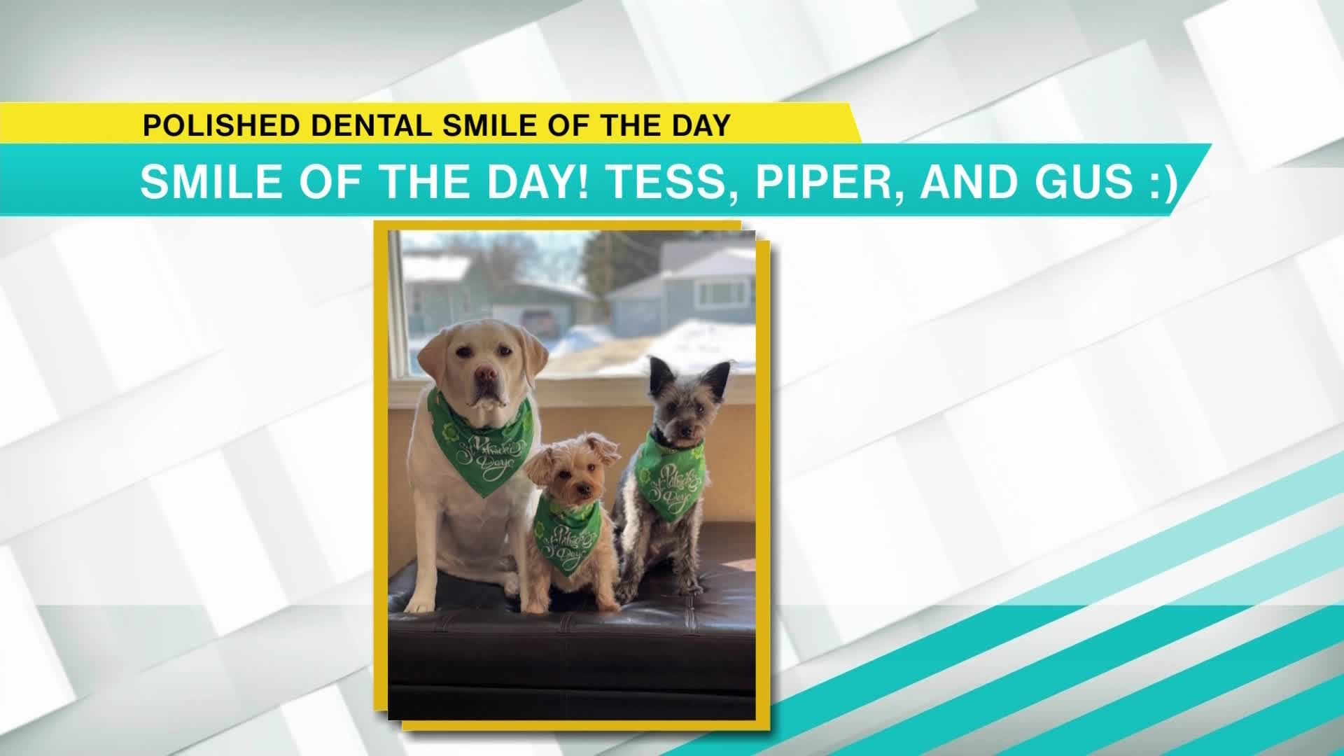 Smile of the Day: Tess, Piper and Gus – KX NEWS