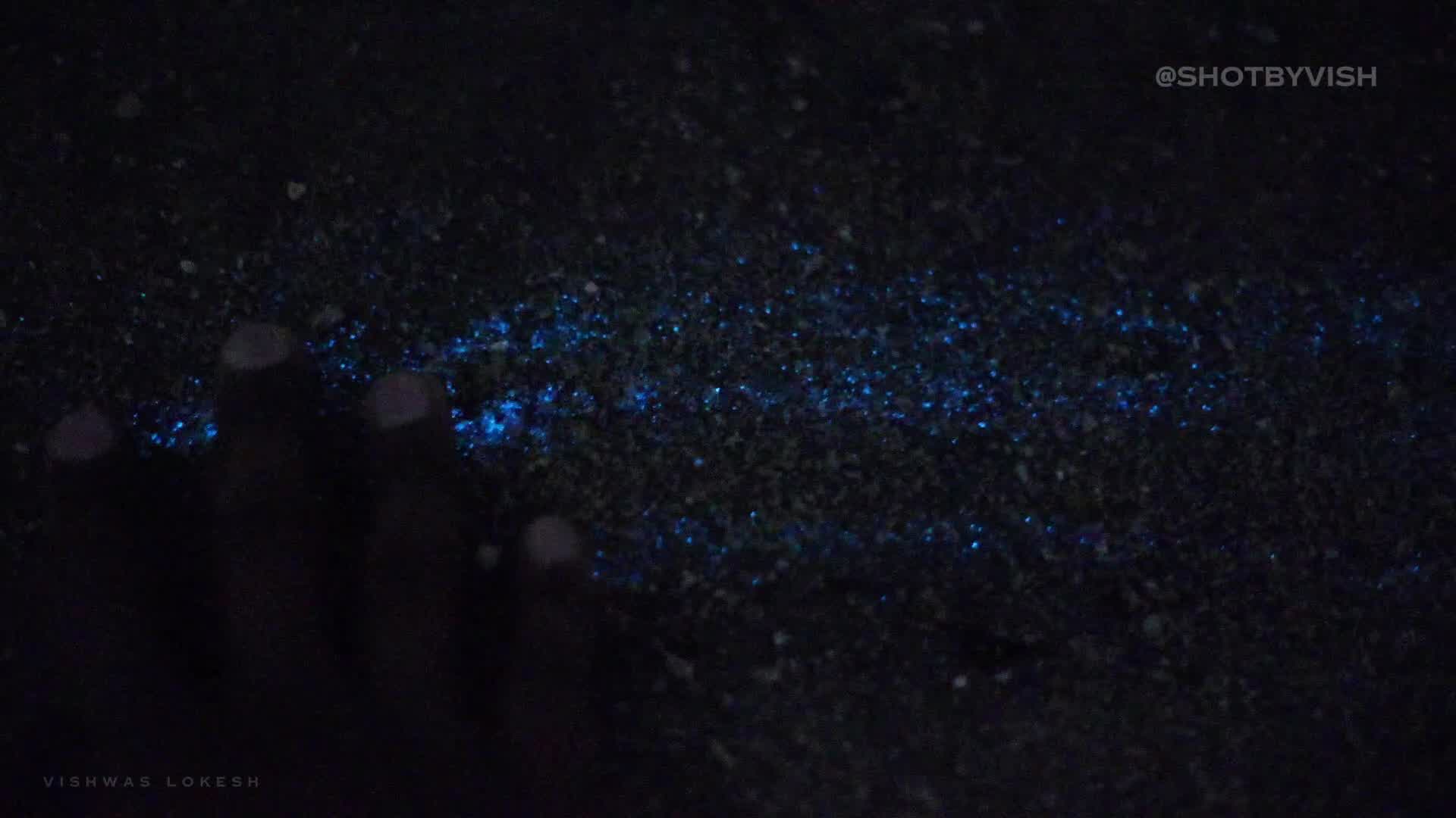 Glowing sand spotted at this San Diego beach – WFLA