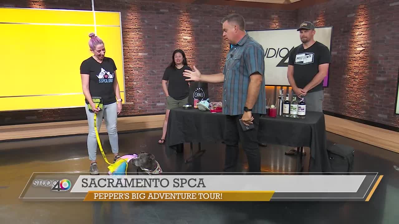 SSPCA – FOX40 News