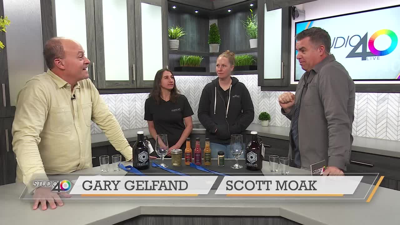 Mindscape Fermentations – FOX40