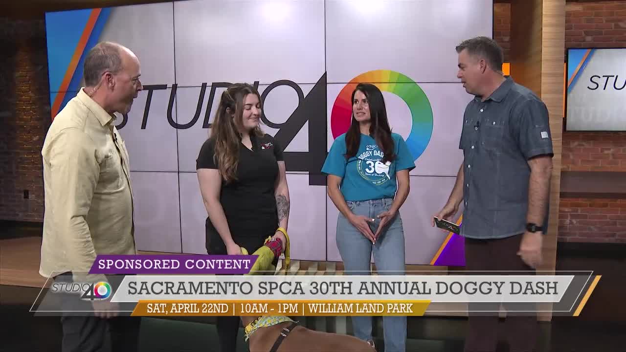 SSPCA Doggy Dash – FOX40 News