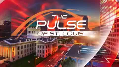 FBI St. Louis Citizens Academy to host free event on cybersecurity – FOX 2