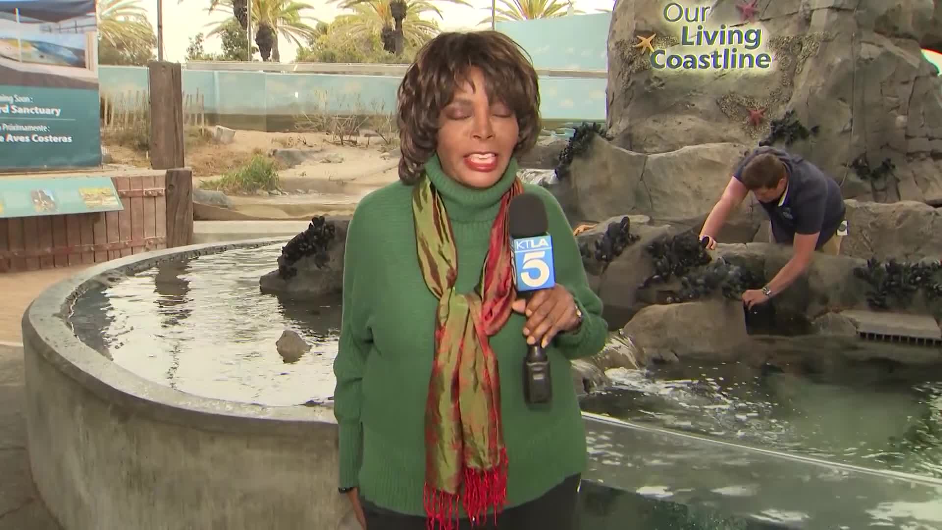 Saturday “Gayle on the Go!”, Saturday, May 31st, 2025 – KTLA
