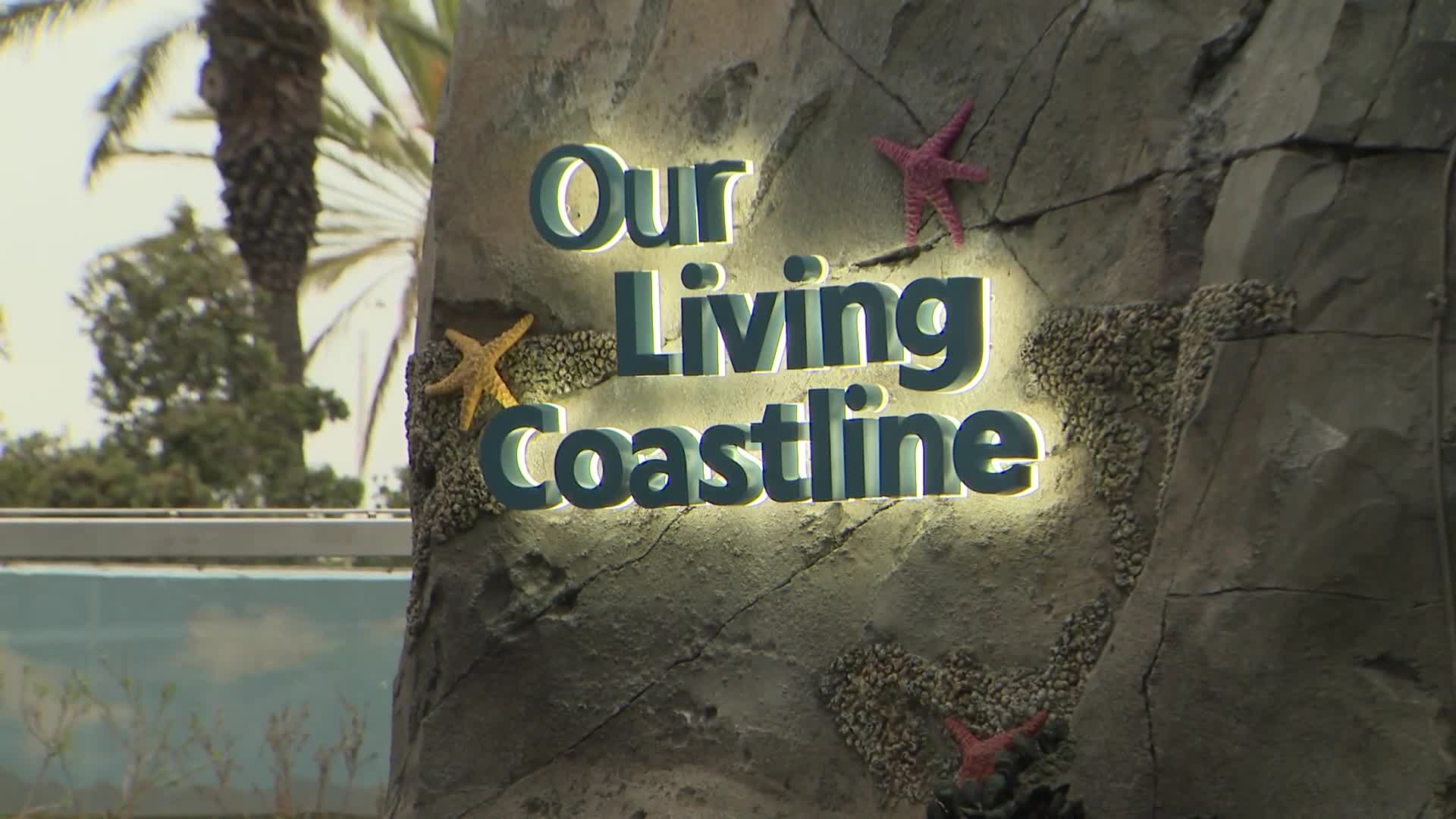 Sunday “Gayle on the Go!”, Sunday, June 22nd, 2025 – KTLA