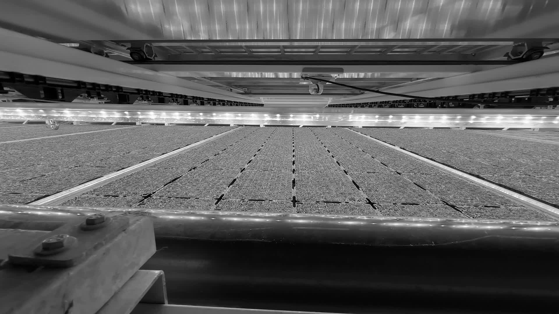 The future of robot farming is here – KTLA