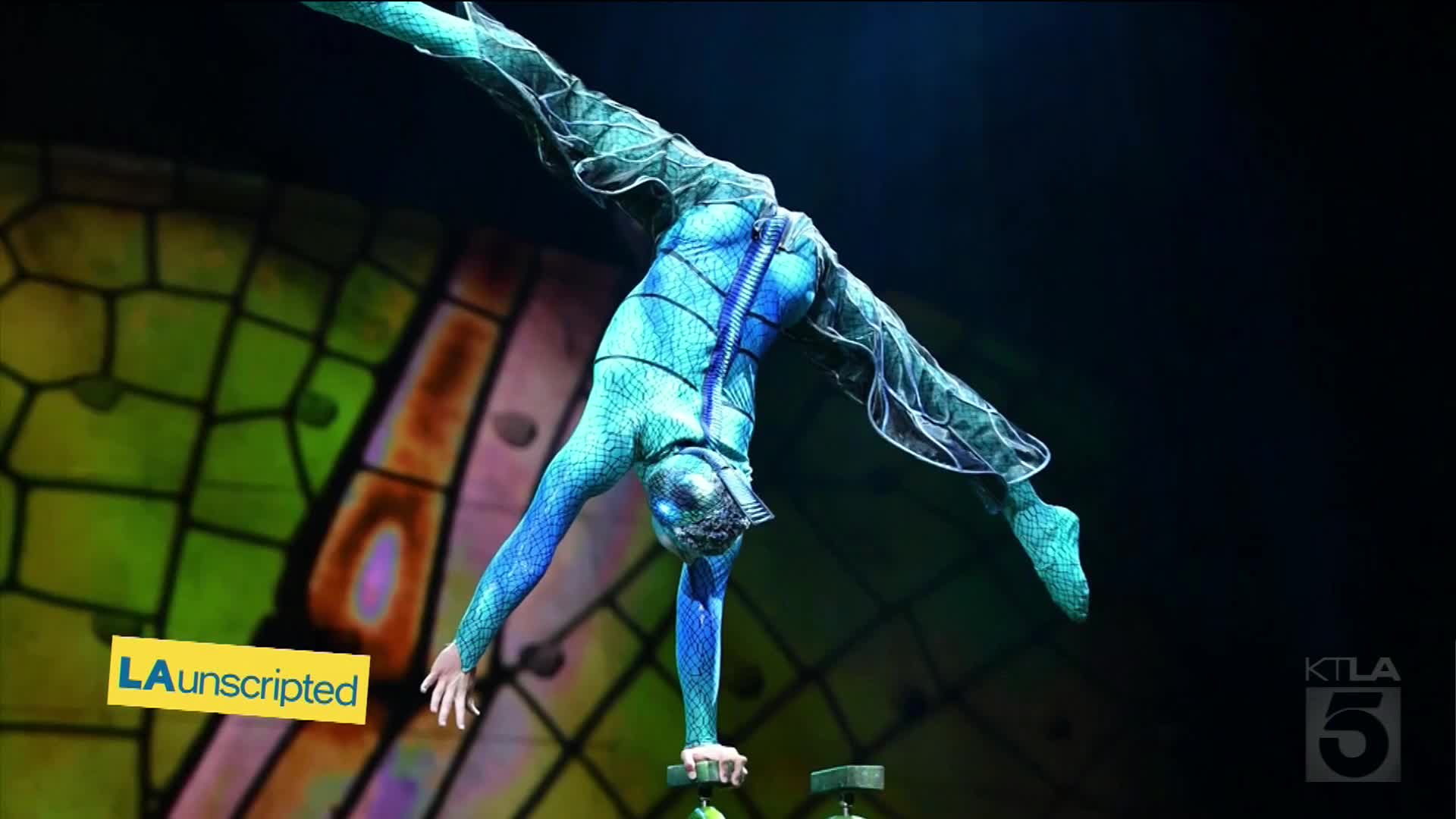 Olivia in LA: OVO by Cirque du Soleil – KTLA