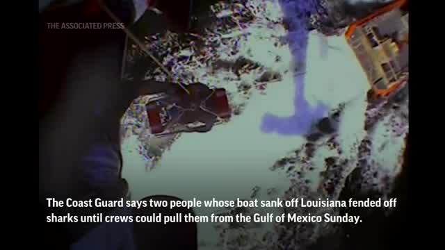 Fishermen fight off sharks, survive 28 hours after boat sinks – WJBF